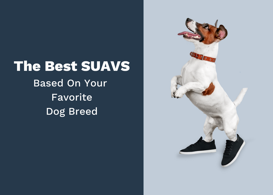 The Best SUAVS Based On Your Favorite Dog Breed